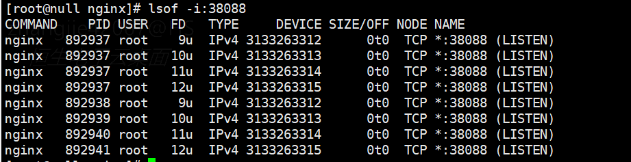 nginx的reuseport特性分析 - ZJfans Blog